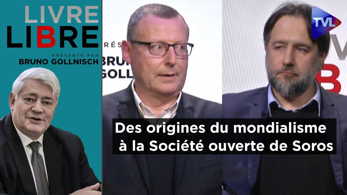 Livre-Libre avec Pierre Hillard et Pierre-Antoine Plaquevent : Des origines du mondialisme à la ...