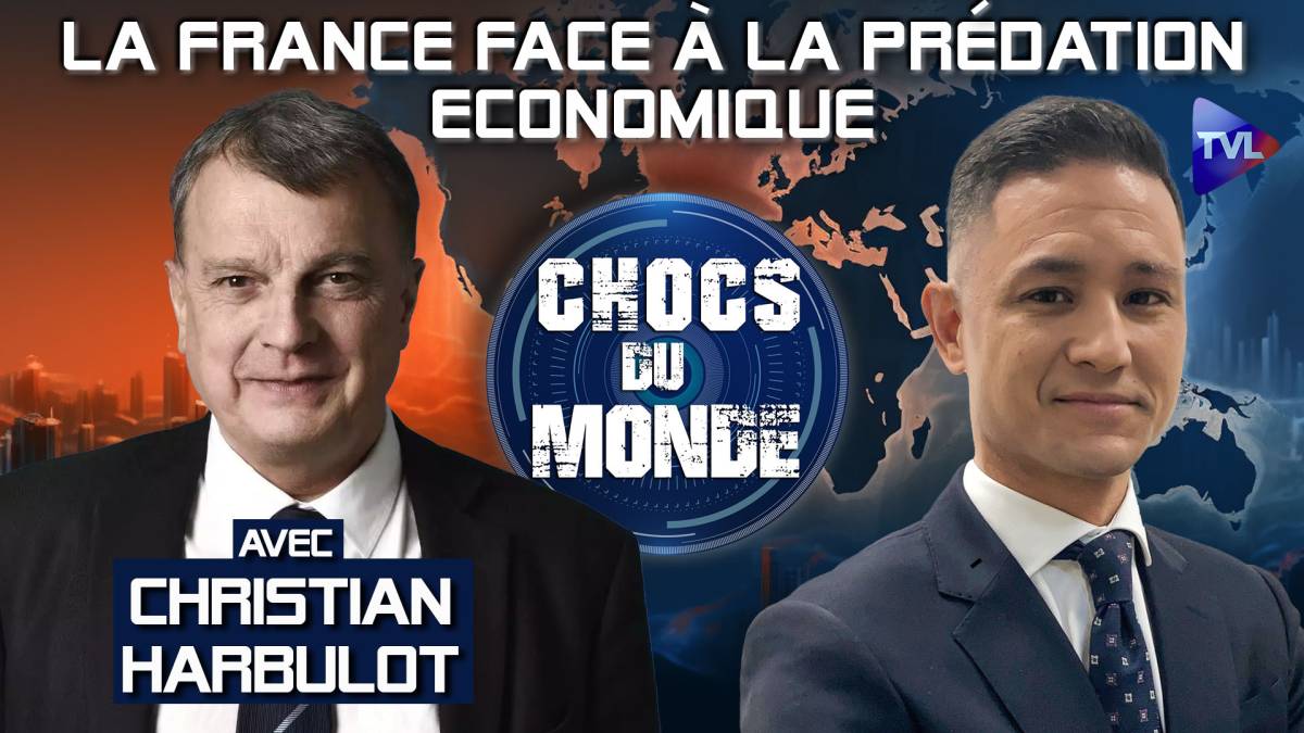 Chocs du monde - Guerre économique : la France peut-elle y survivre ...