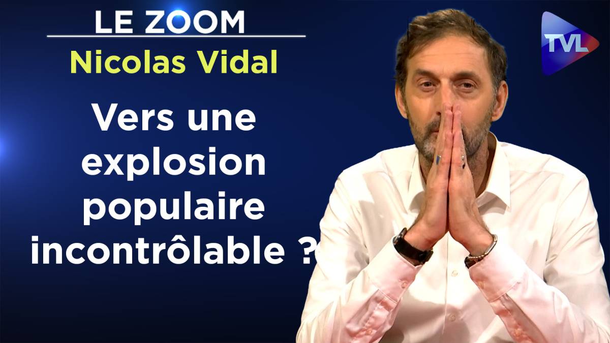 Zoom - Nicolas Vidal : Oligarchie/Peuple français : l'affrontement est ...