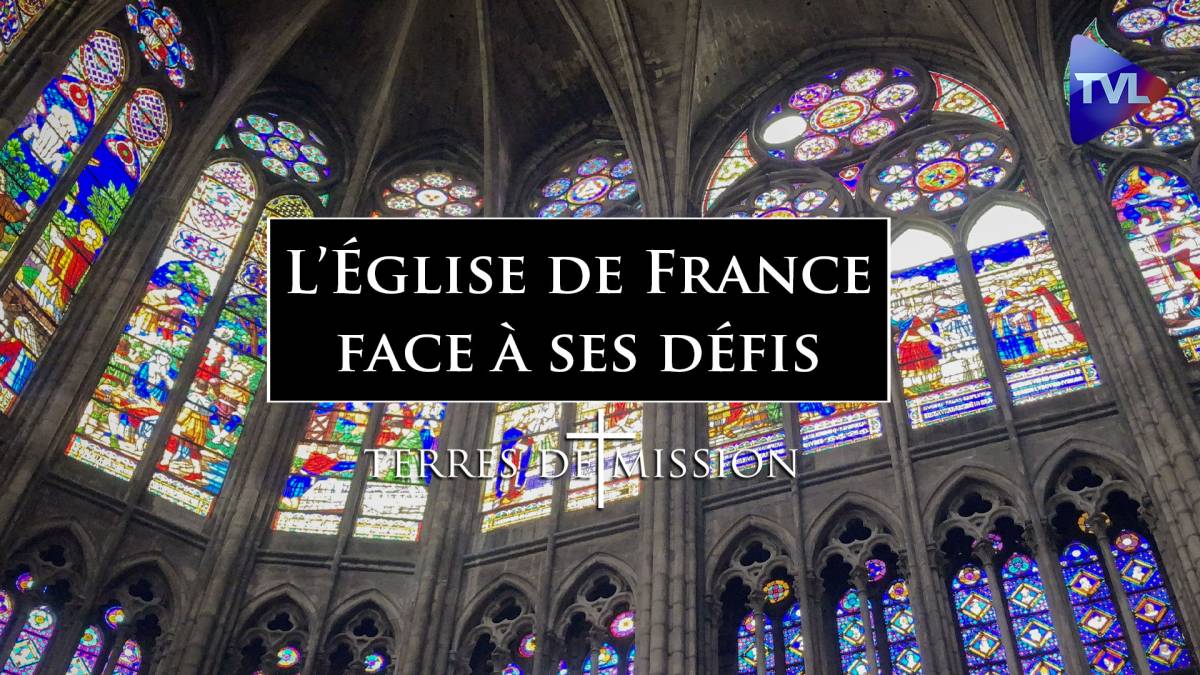 Terres de Mission n°425 - Mgr Rey revient sur les défis de l’Eglise de ...